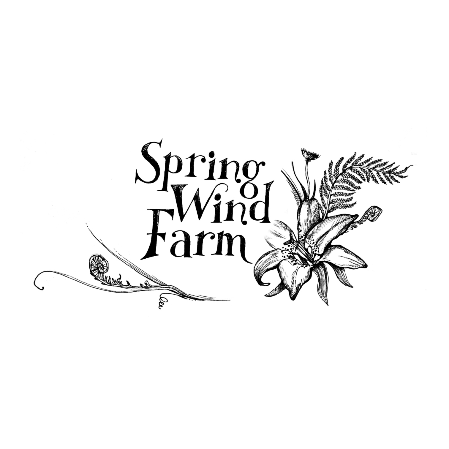 Spring Wind Farm | Local Flowers