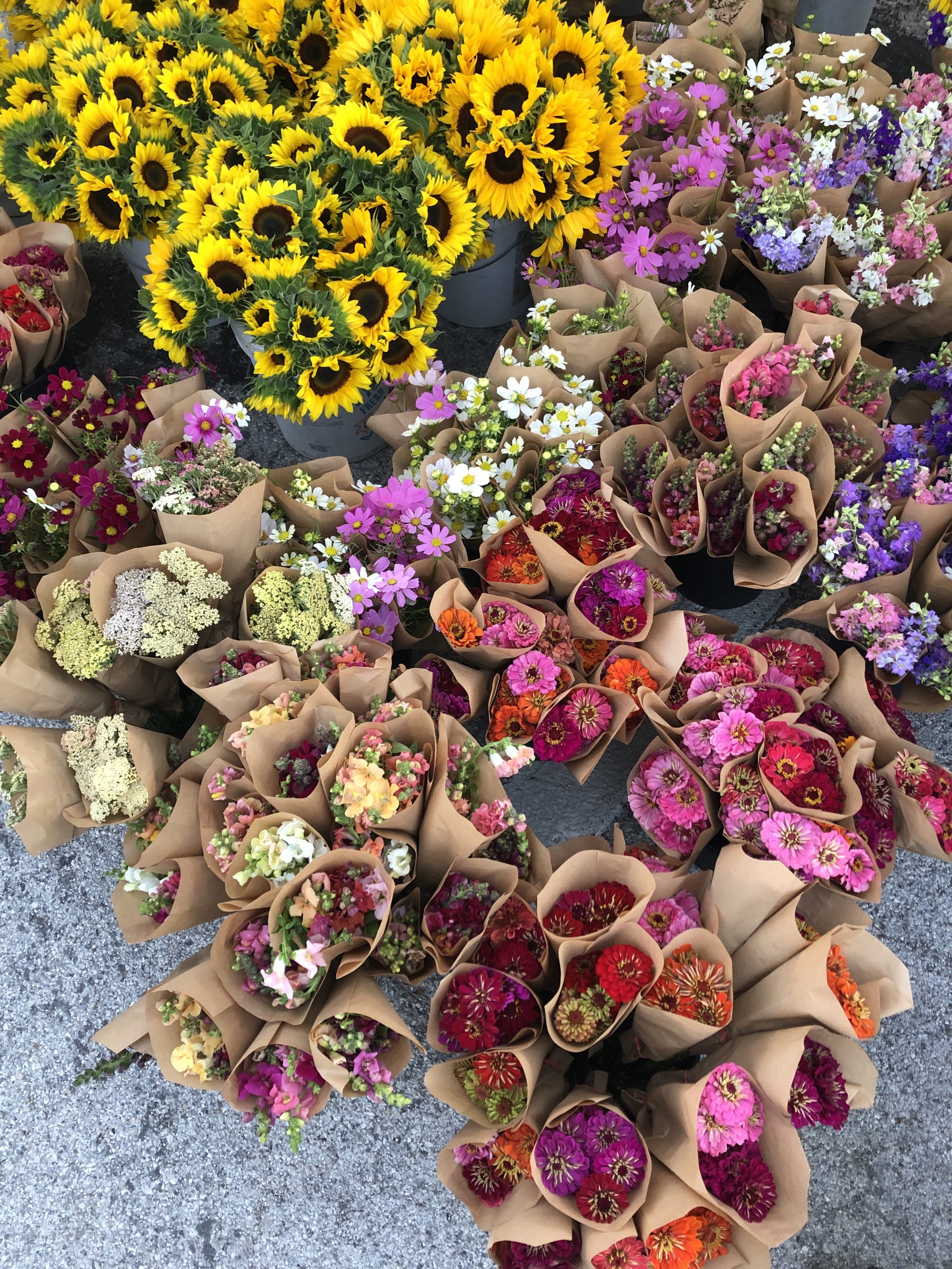 Little Pond Farm | Local Flowers