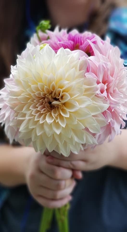 Titus Creek Flower Farm | Local Flowers