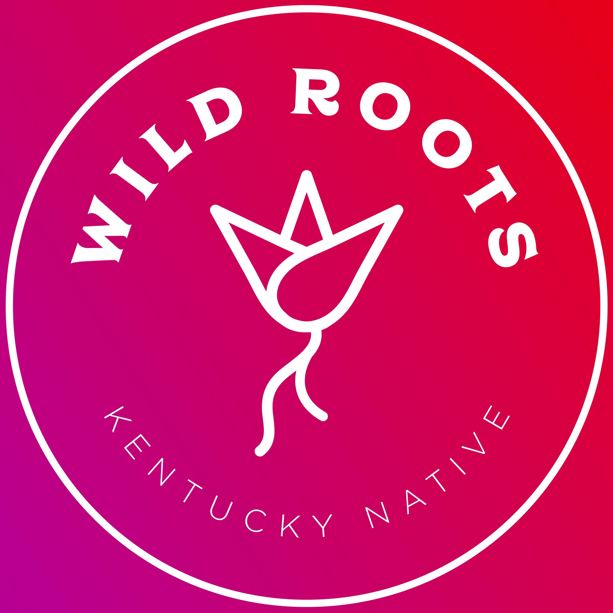 Wild Roots | Local Flowers