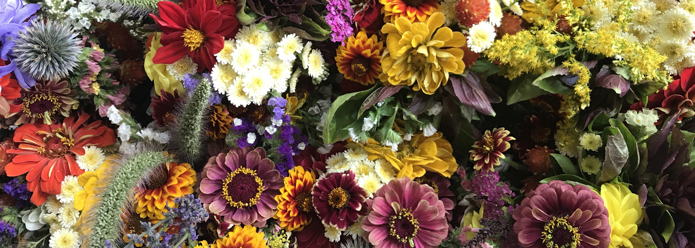 Local Flowers, Growers Near Me | Local Flowers