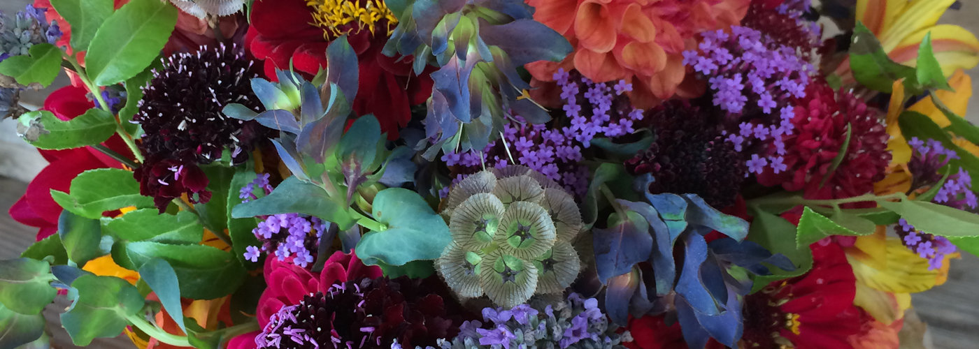 Local Flowers | Local Flower Growers, Flowers