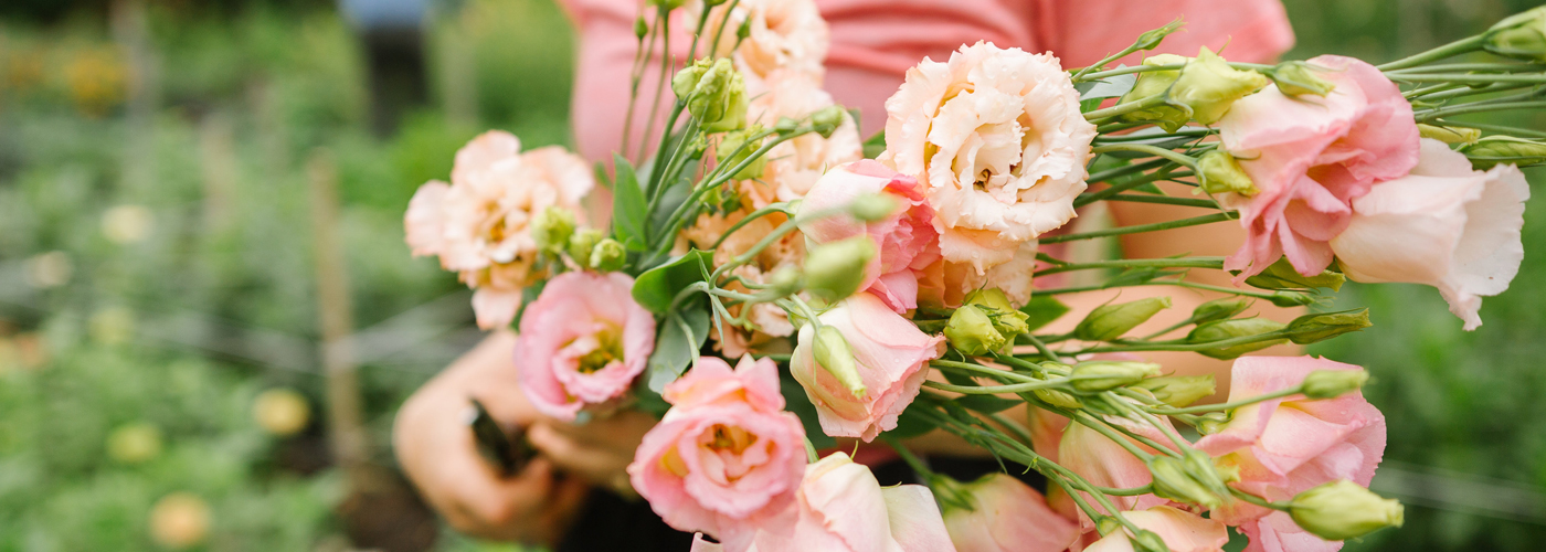 Local Flowers | Local Flower Growers, Flowers