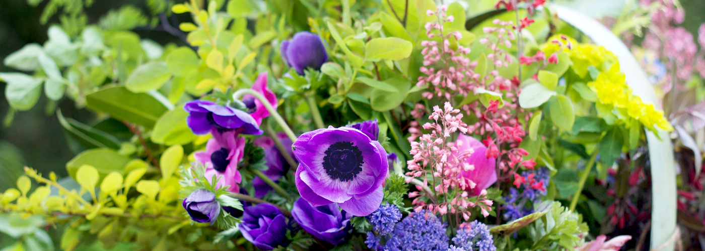 Local Flowers, Growers Near Me | Local Flowers